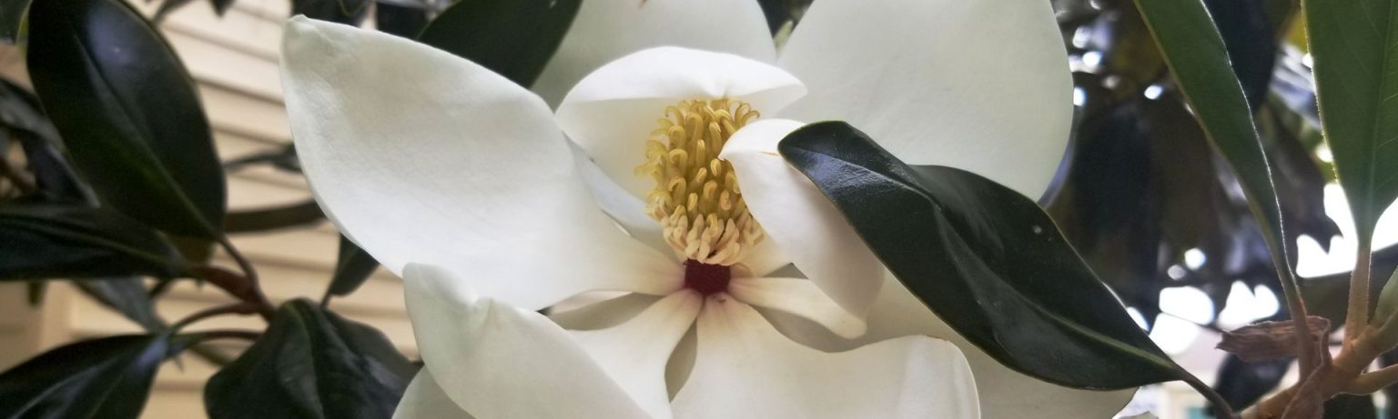 About Us – Community Care Hospital